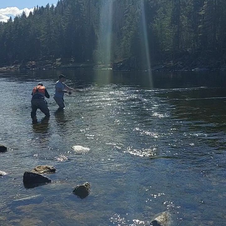 Gravity Single Handed Rods – CND Europe